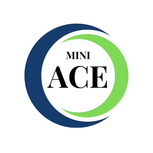 Mini ACE - B2B Payment Term Calculator | CapAid
